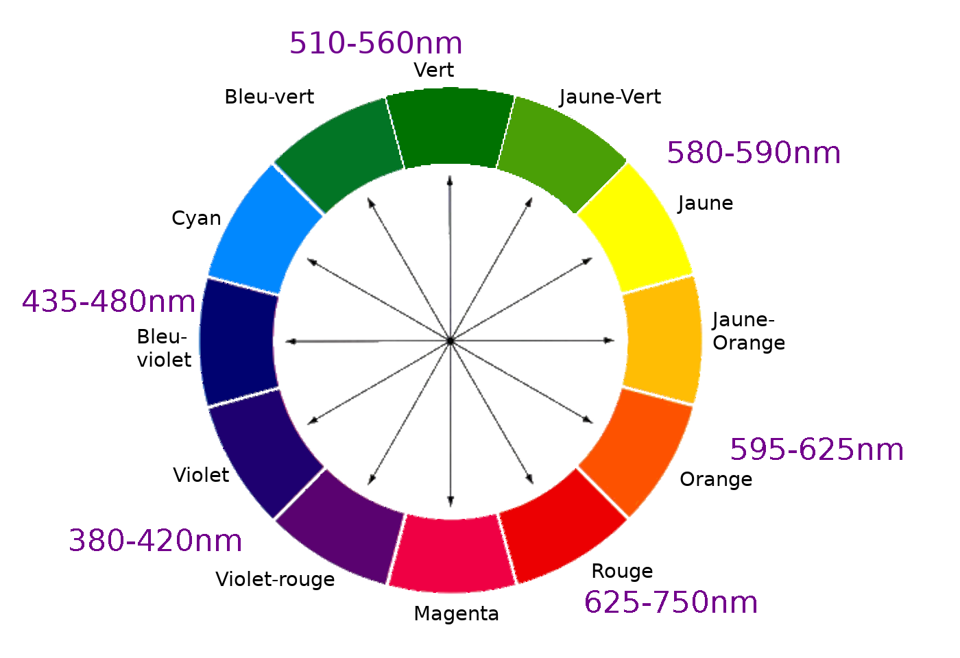 Dosage par étalonnage - Exercices Spécialité - Kwyk